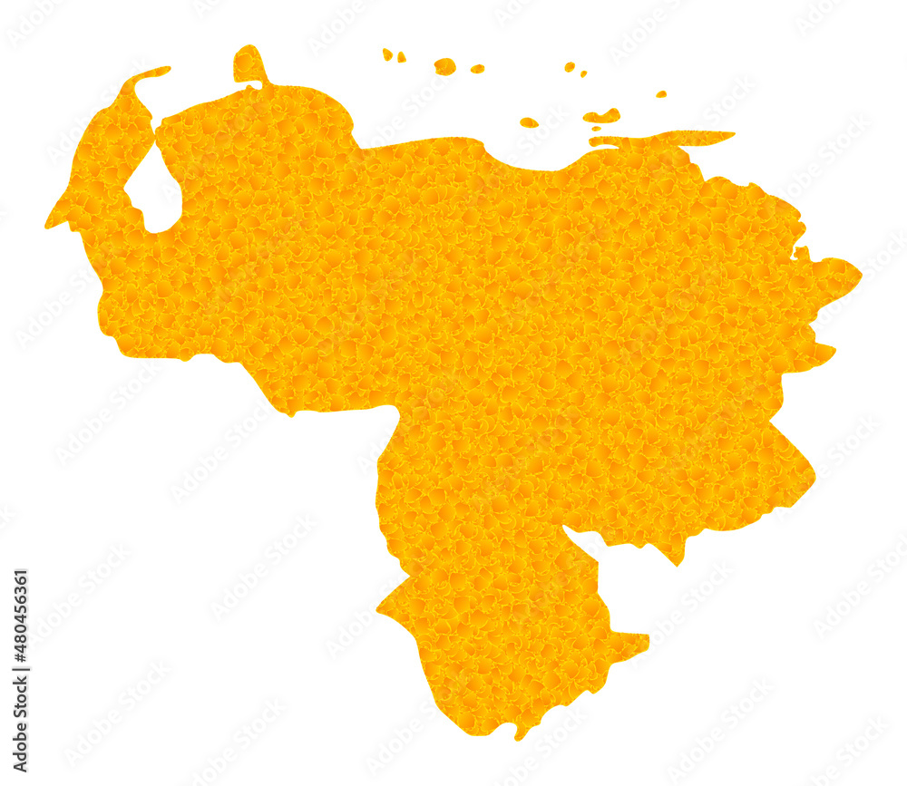 Vector Golden map of Venezuela. Map of Venezuela is isolated on a white ...