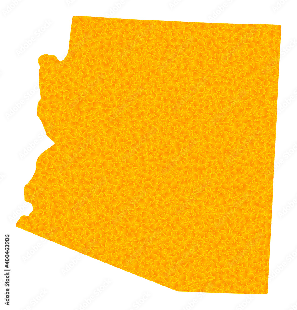 Vector Golden map of Arizona State. Map of Arizona State is isolated on ...