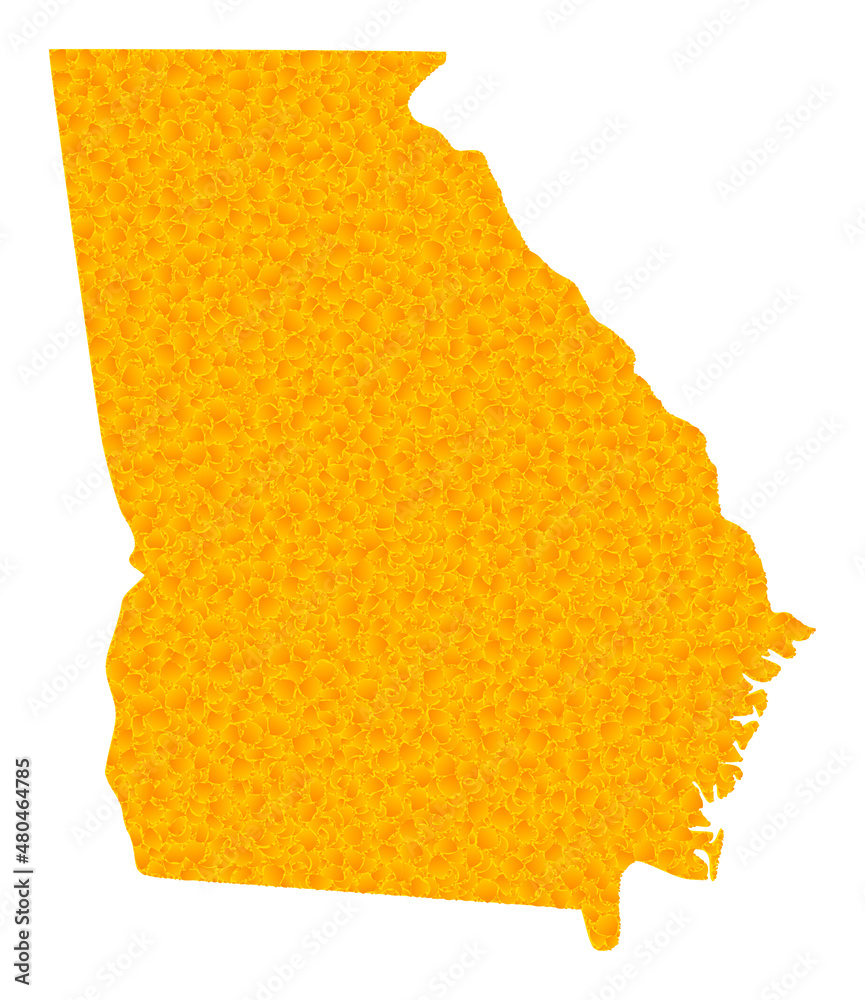 Vector Golden map of Georgia State. Map of Georgia State is isolated on ...
