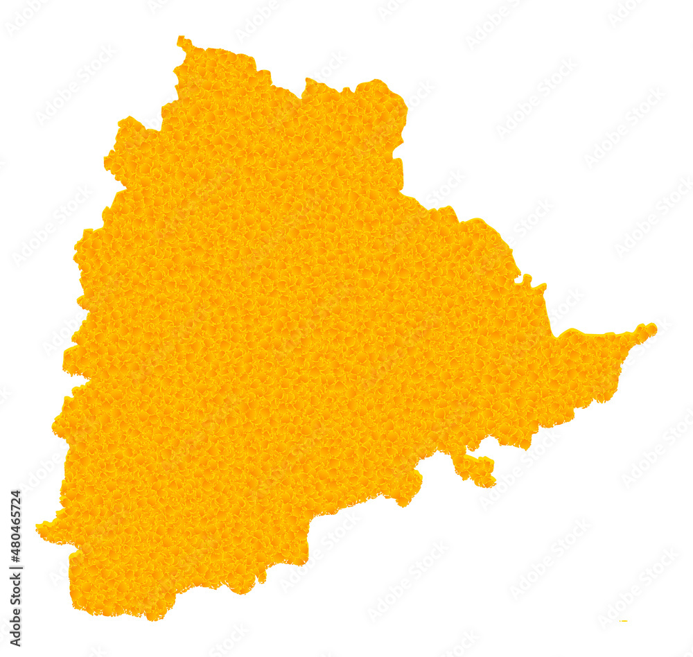 Vector Gold Map Of Telangana State Map Of Telangana State Is Isolated vector-gold-map-of-telangana-state-map-of-telangana-state-is-isolated