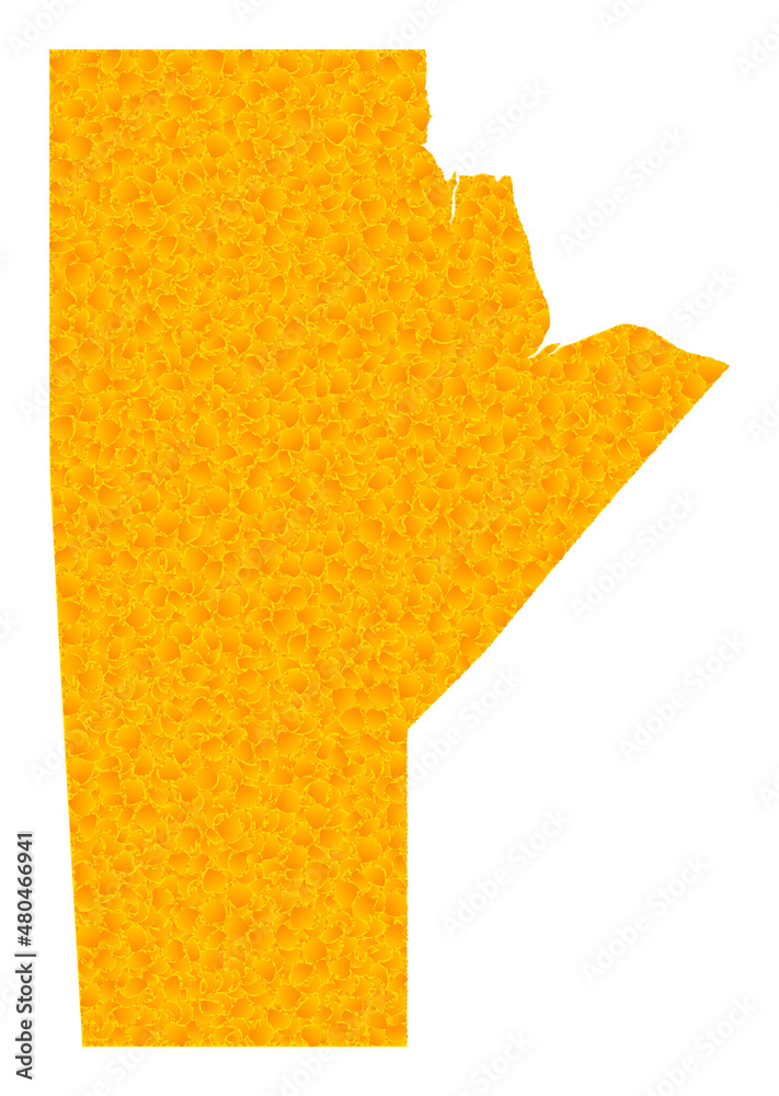 Vector Gold map of Manitoba Province. Map of Manitoba Province is ...