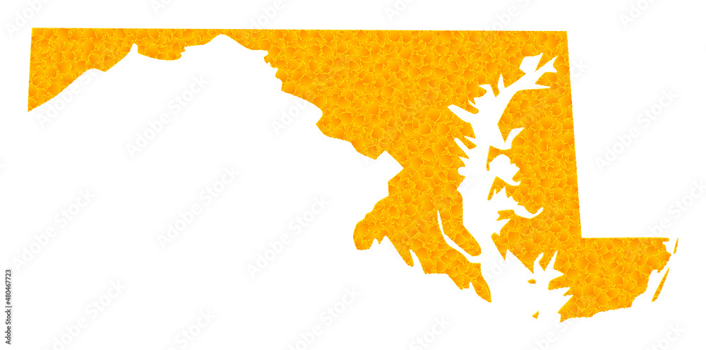 Vector Gold map of Maryland State. Map of Maryland State is isolated on ...