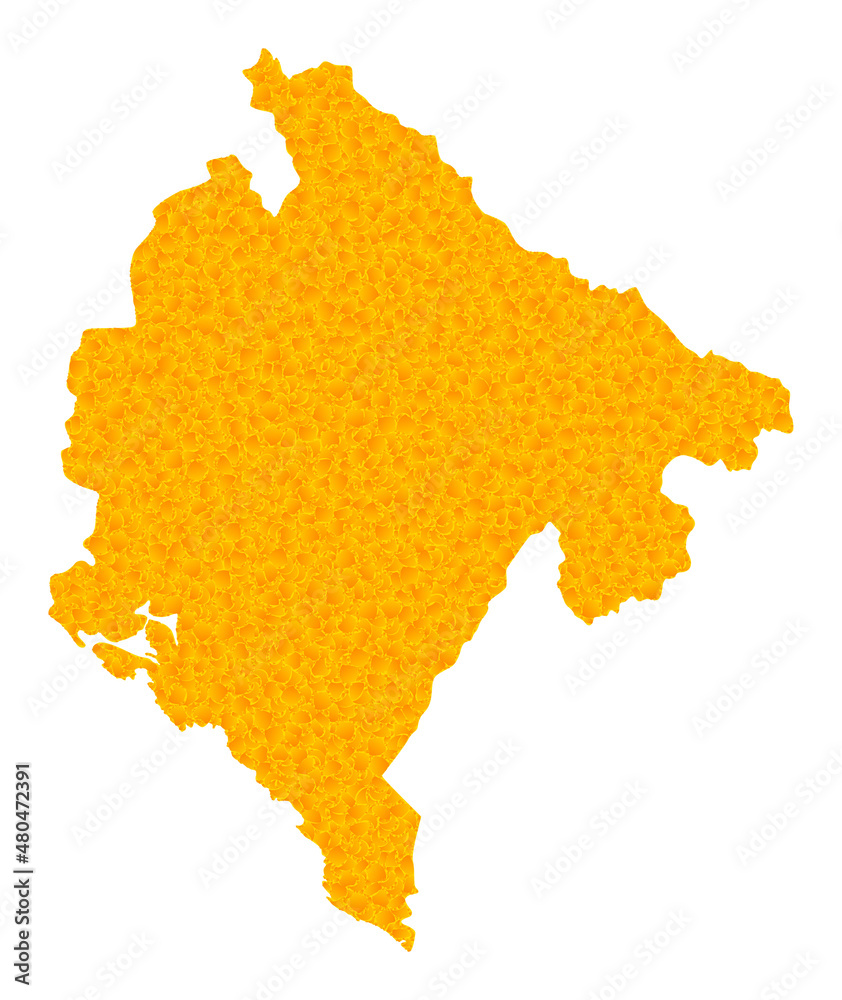 Vector Gold Map Of Montenegro Map Of Montenegro Is Isolated On A White Background Gold