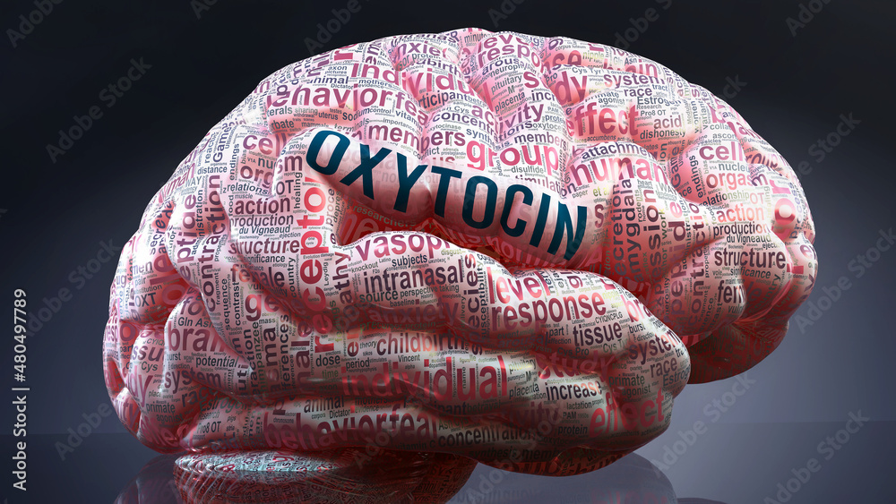 Oxytocin in human brain, hundreds of crucial terms related to Oxytocin ...