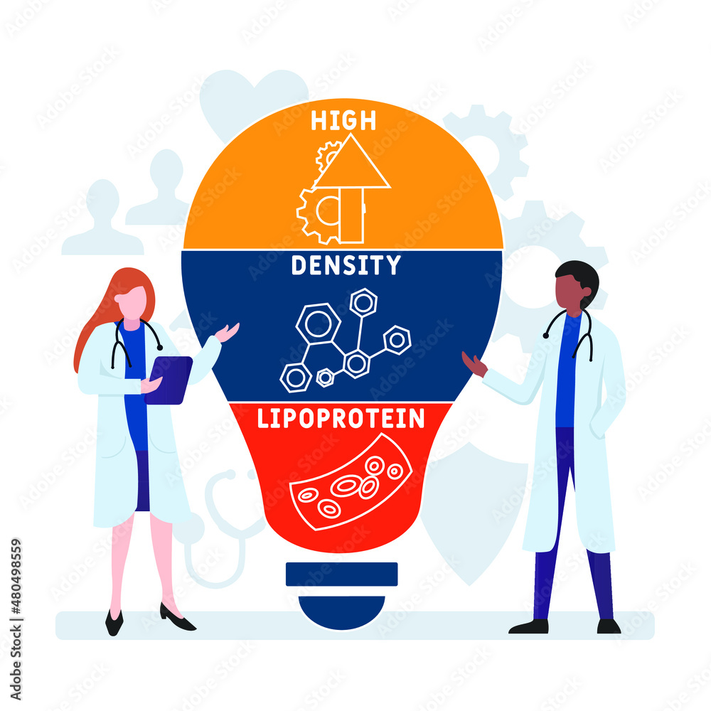 HDL - High-density lipoprotein acronym. business concept background ...