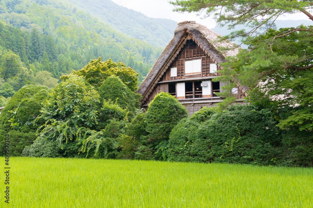 Gifu, Japan - Jul 30 2017- Gassho-zukuri houses at Ogimachi Village in ...