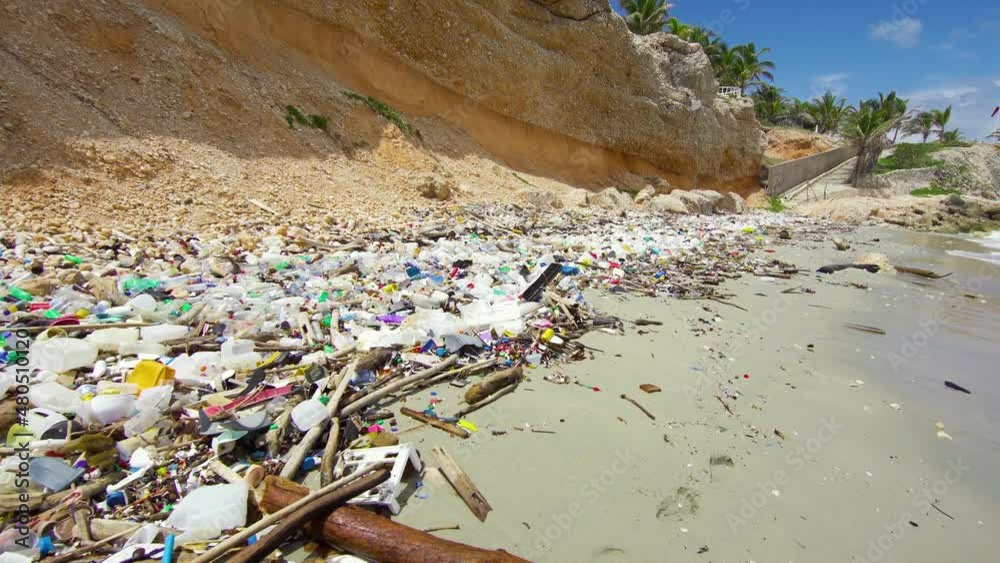 The coast of the Atlantic is polluted with human waste. Non-degradable ...