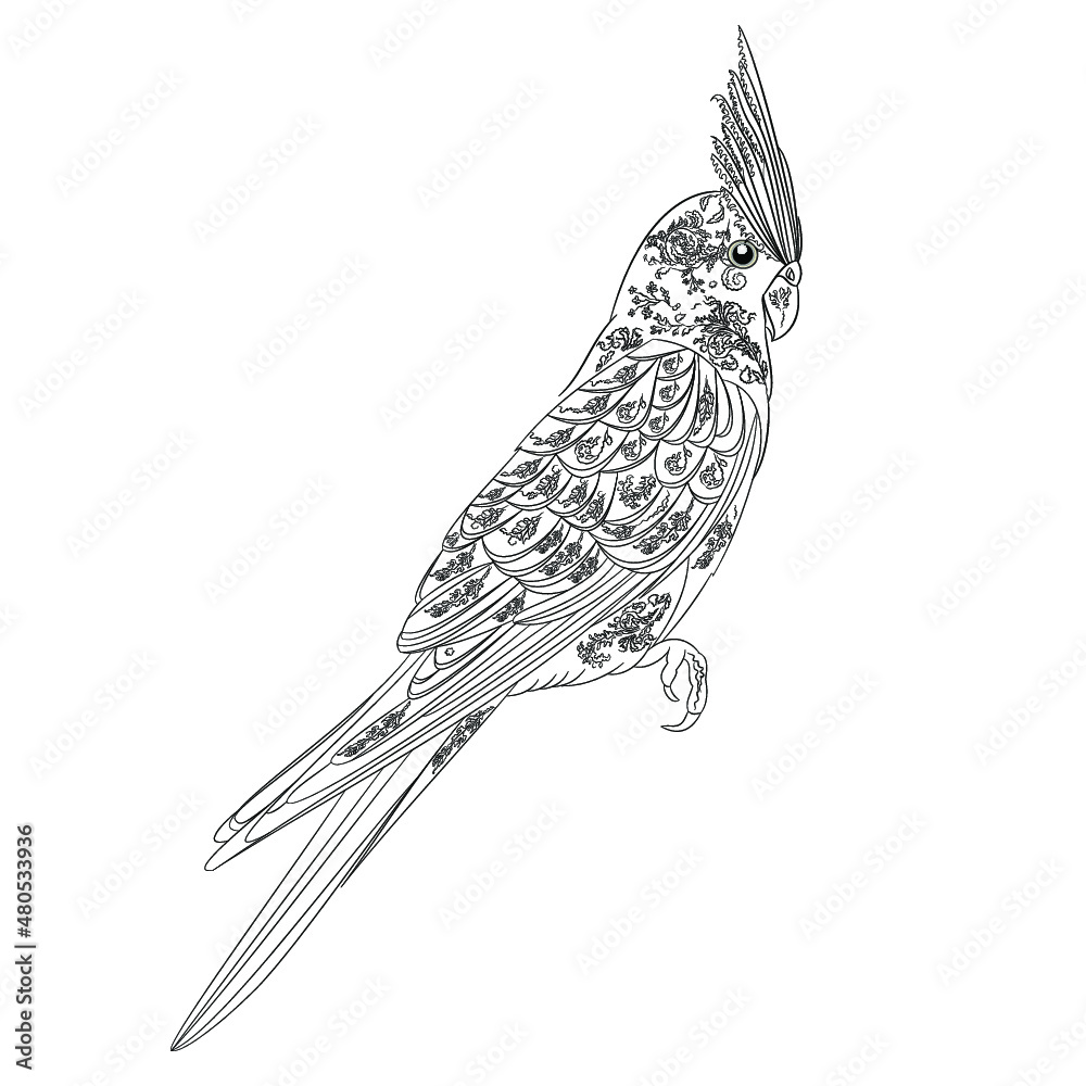 Cockatiel parrot cute tropical bird funny parrot with ornaments outline ...