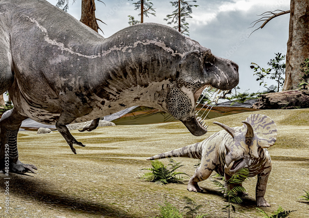 T Rex Vs Triceratops Fighting