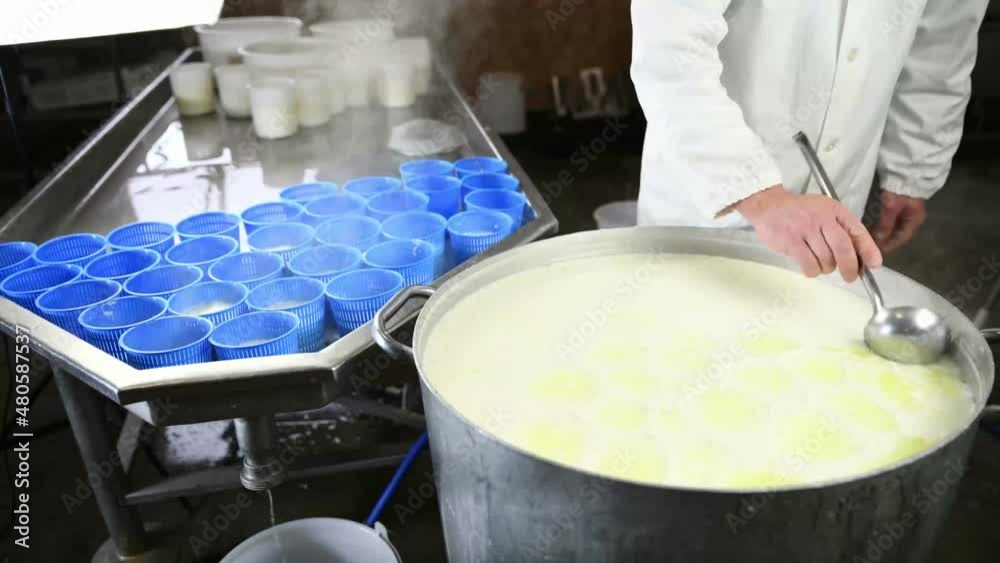Cheesemaker pours the ricotta into plastic forms - process of making ...