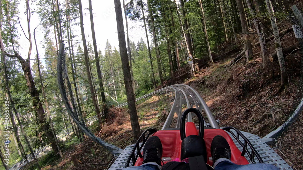 Person rides in fast rodelbahn sledding in mountains in woods among ...