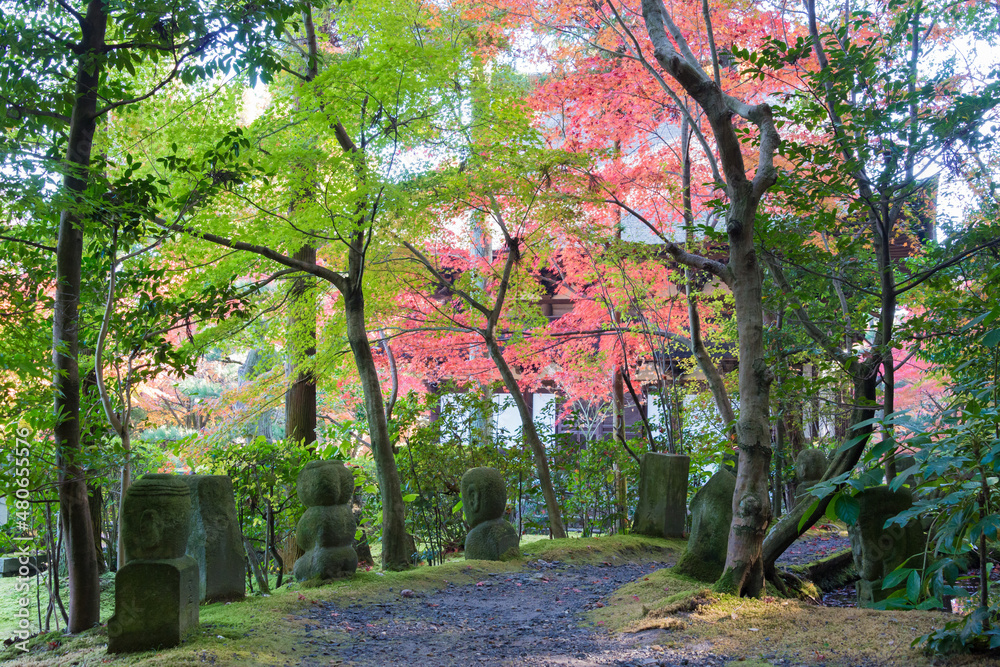 Kyoto, Japan - Nov 19 2020 - Ikkyuji Temple (Shuon-an) in Kyotanabe ...