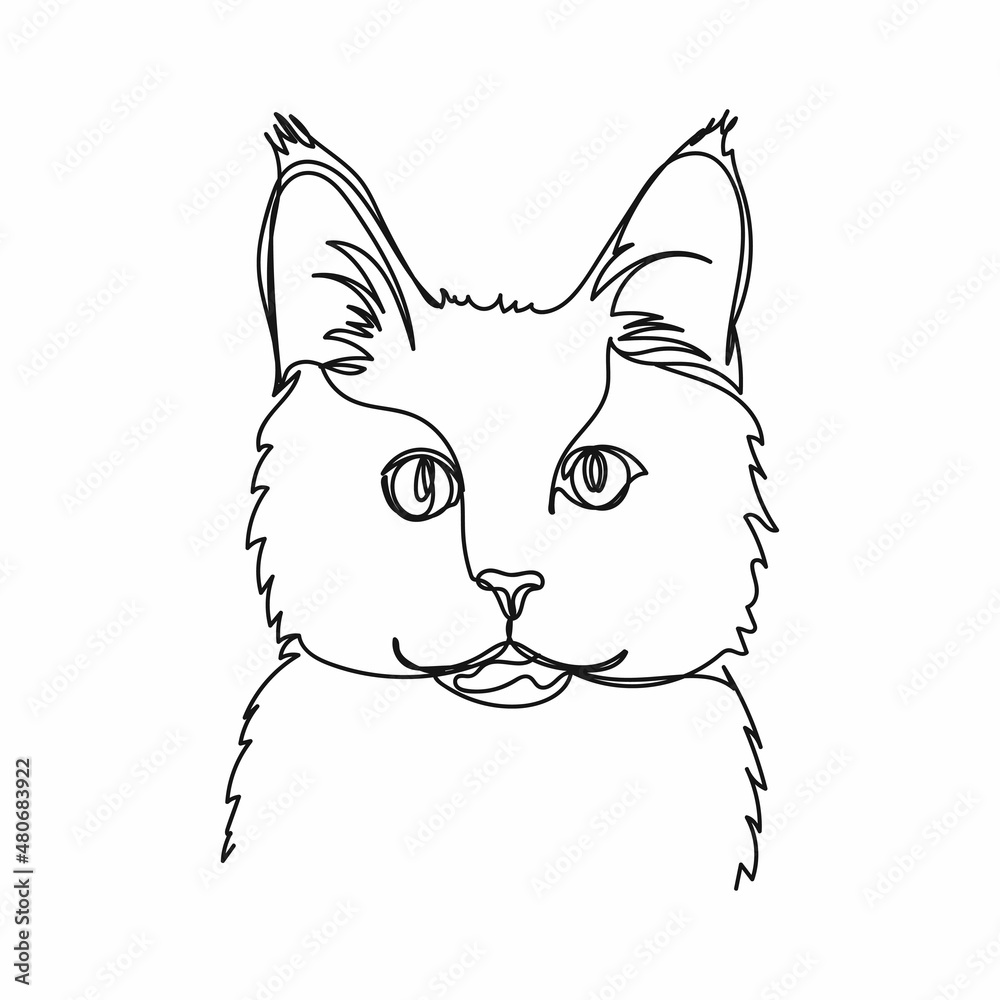 Continuous one simple single abstract line drawing of portrait of maine ...