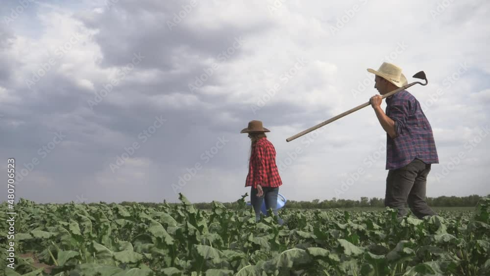 Teamwork of farmers in field. Agricultural business. farmer walks ...