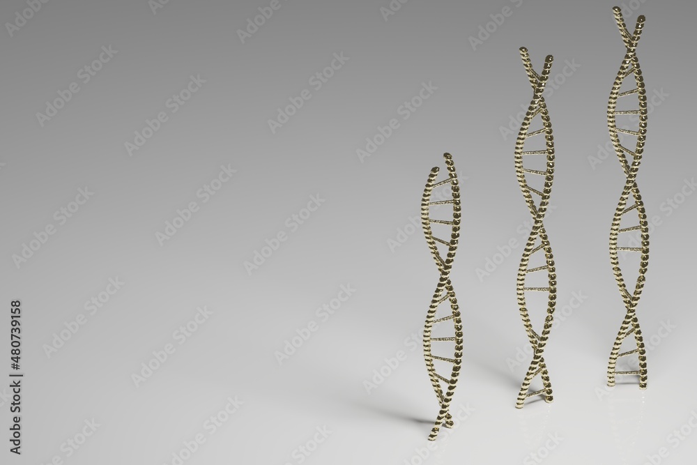 Three golden DNA molecule complex spiral structure on a greay ...