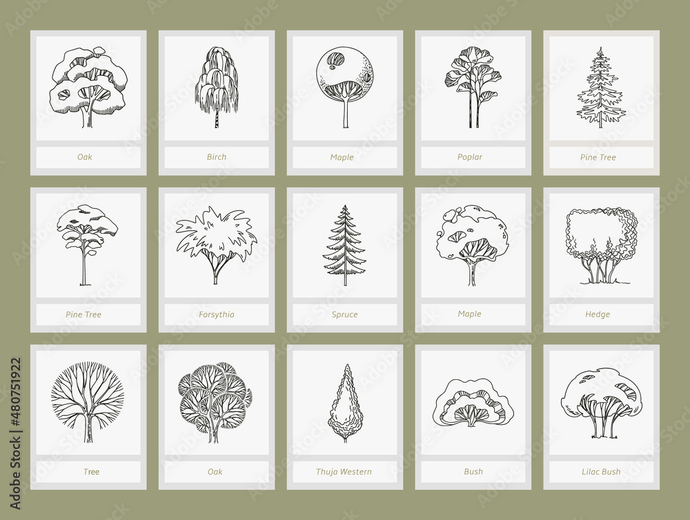 Photo Side view, set of graphics trees elements outline symbol for ...