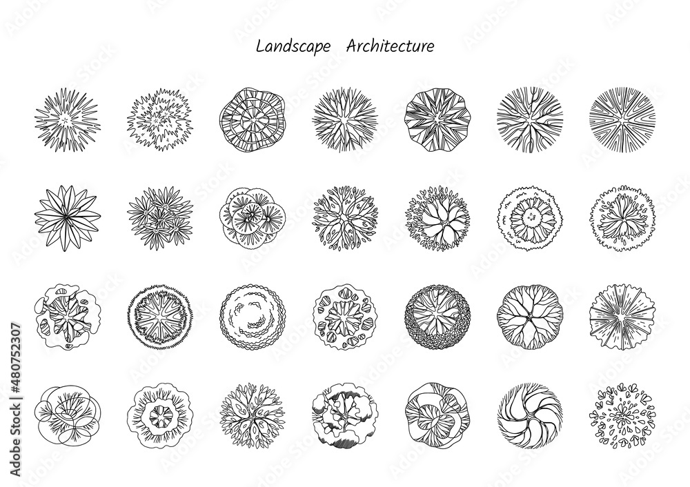 Trees top view for architecture landscape design projects Stock Vector ...