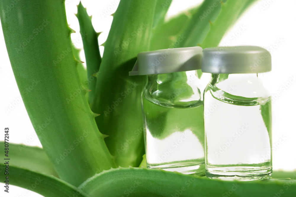 Aloe Vera plant and bottle with extract of aloe vera, herbal medicine ...