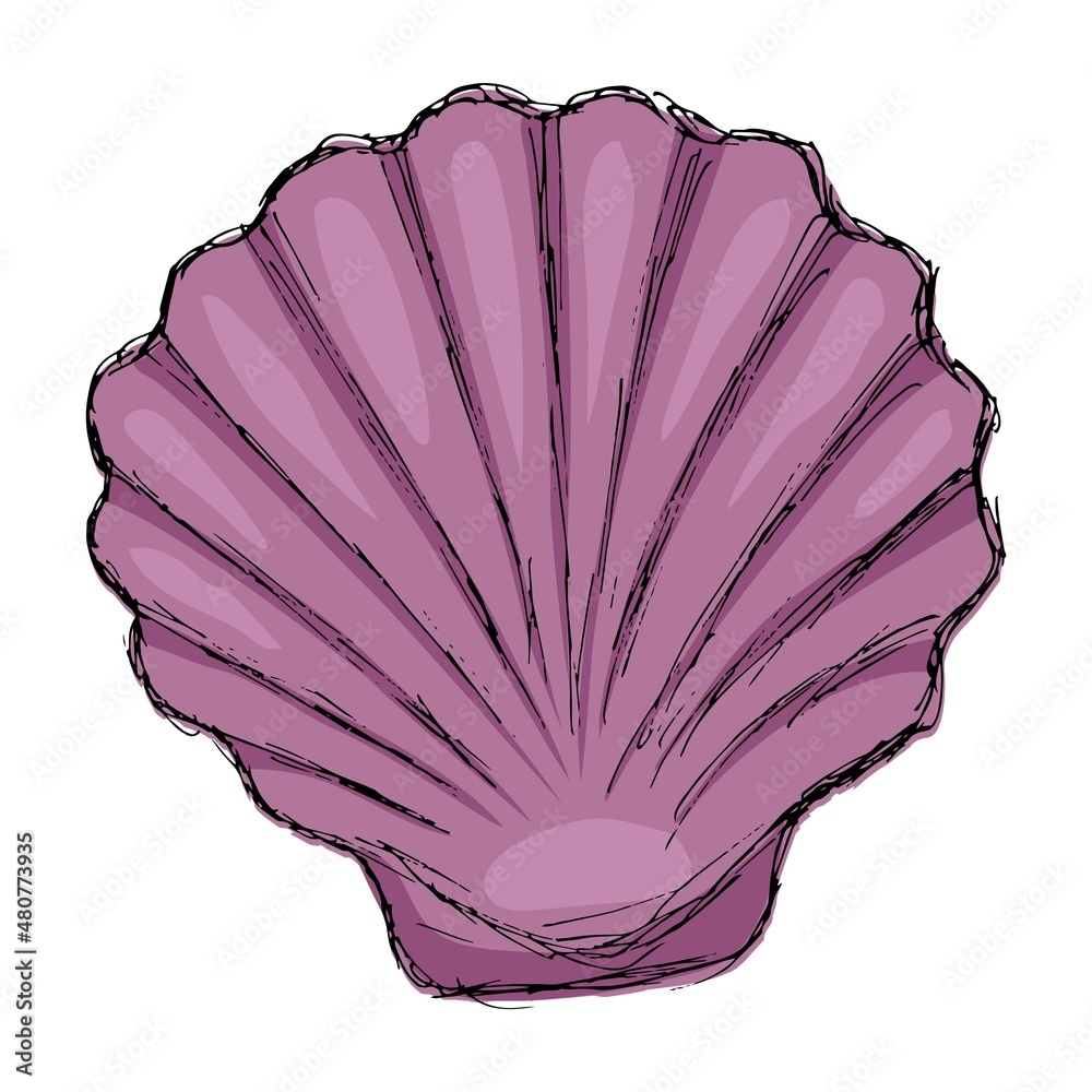 Purple scallop seashell, isolated on a transparent background. Cartoon ...