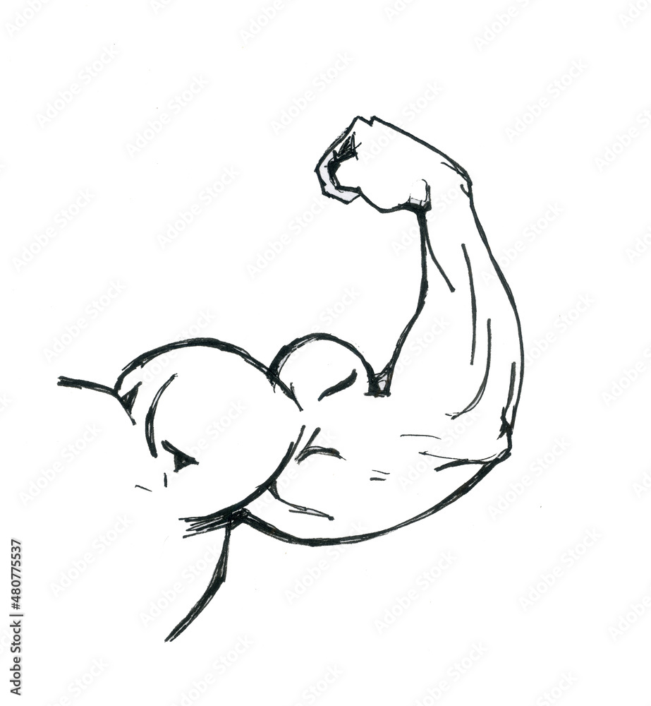 Bodybuilder's arm, tensed biceps, ink drawing. Stock Illustration ...