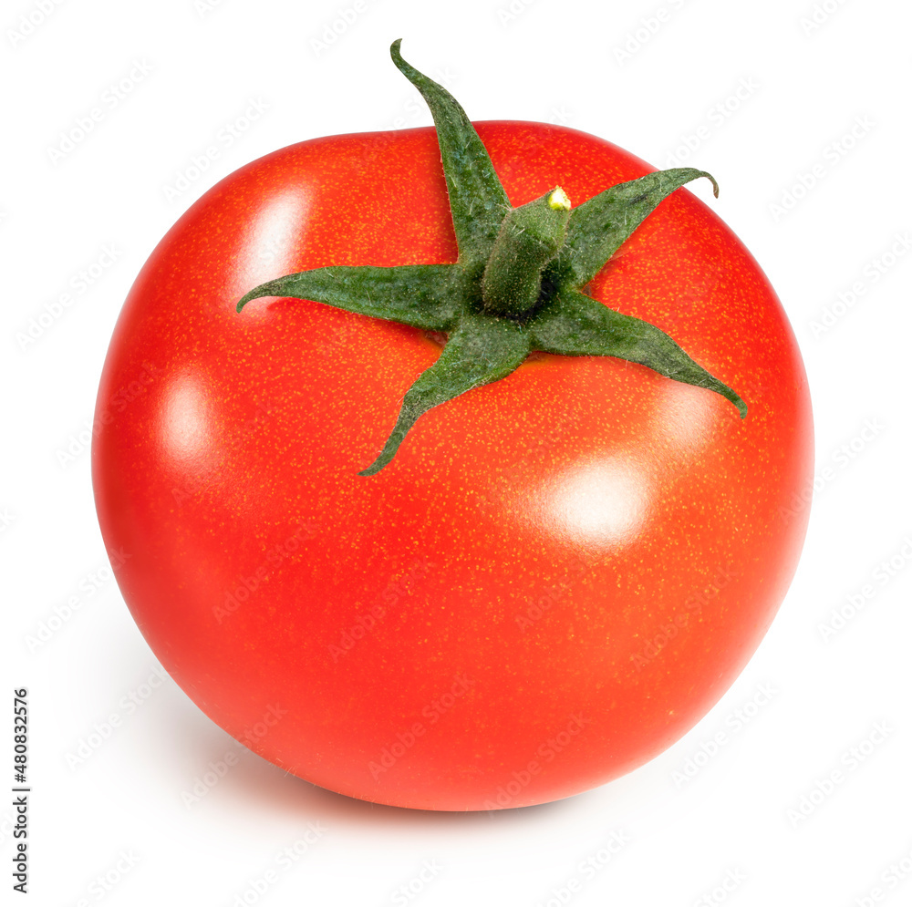 Fresh mini Tomato isolated on the white background, Japanese Tomato on ...