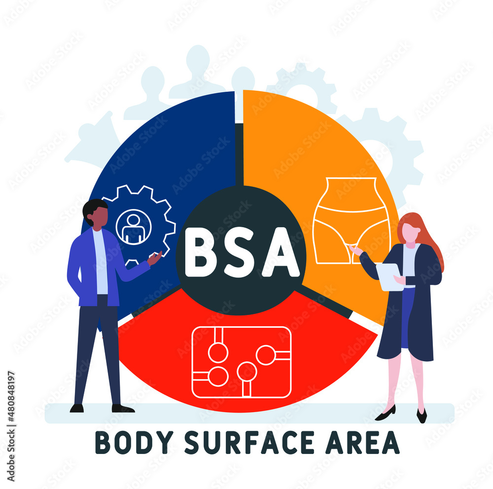 BSA - Body Surface Area acronym. business concept background. vector ...