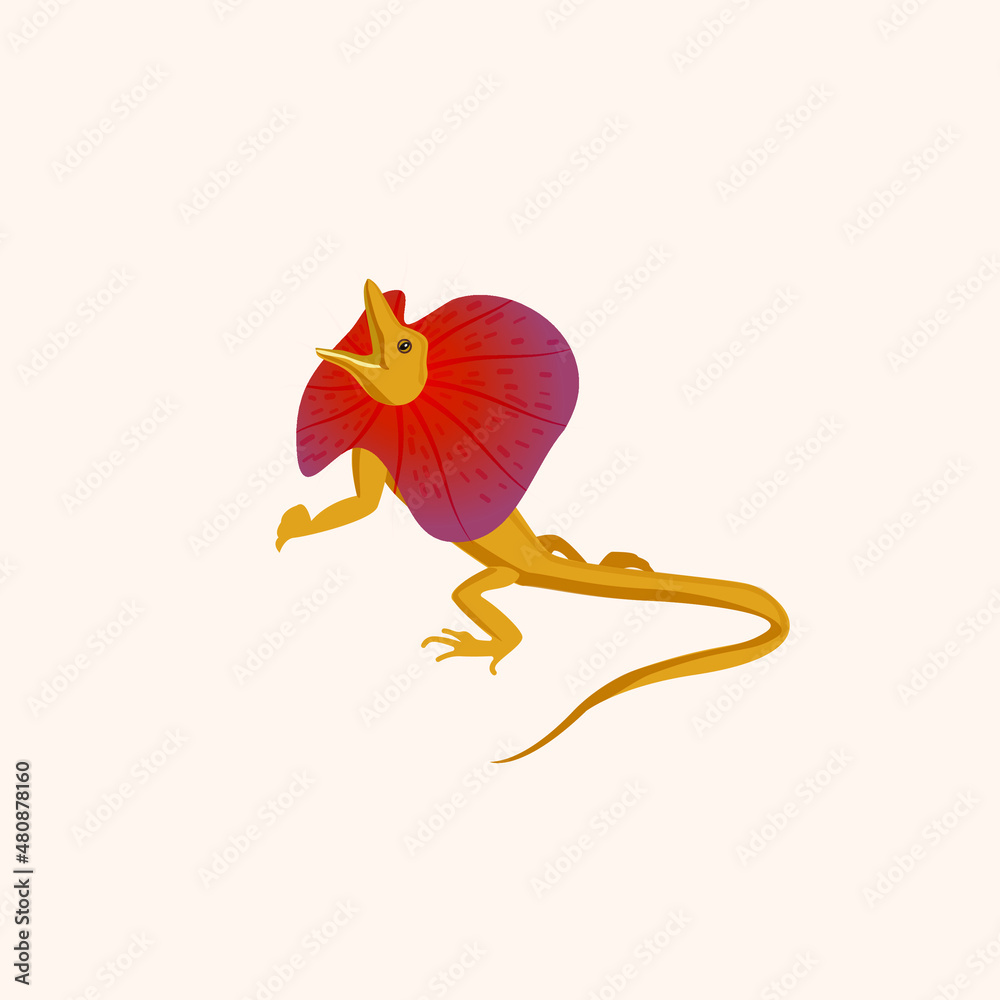 Australian frilled-necked lizard. Vector illustration isolated on white ...