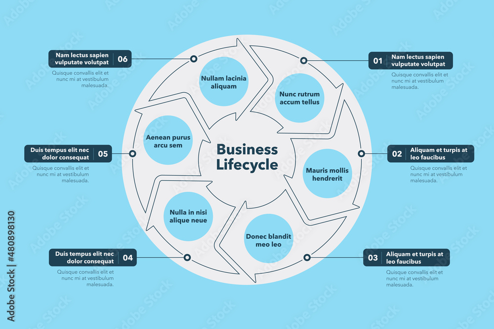 Poster Business lifecycle template with six steps - blue version – Wall ...