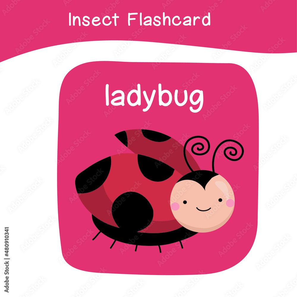 Vetor de Insect name and cute cartoon image flashcard. Cute flashcards ...