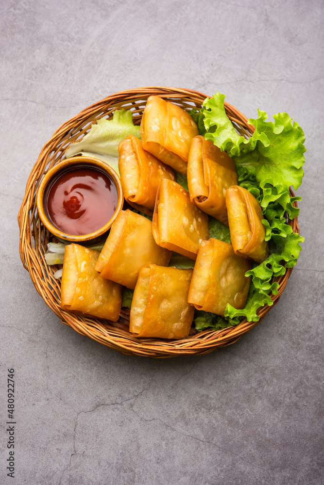 Chinese Samosa