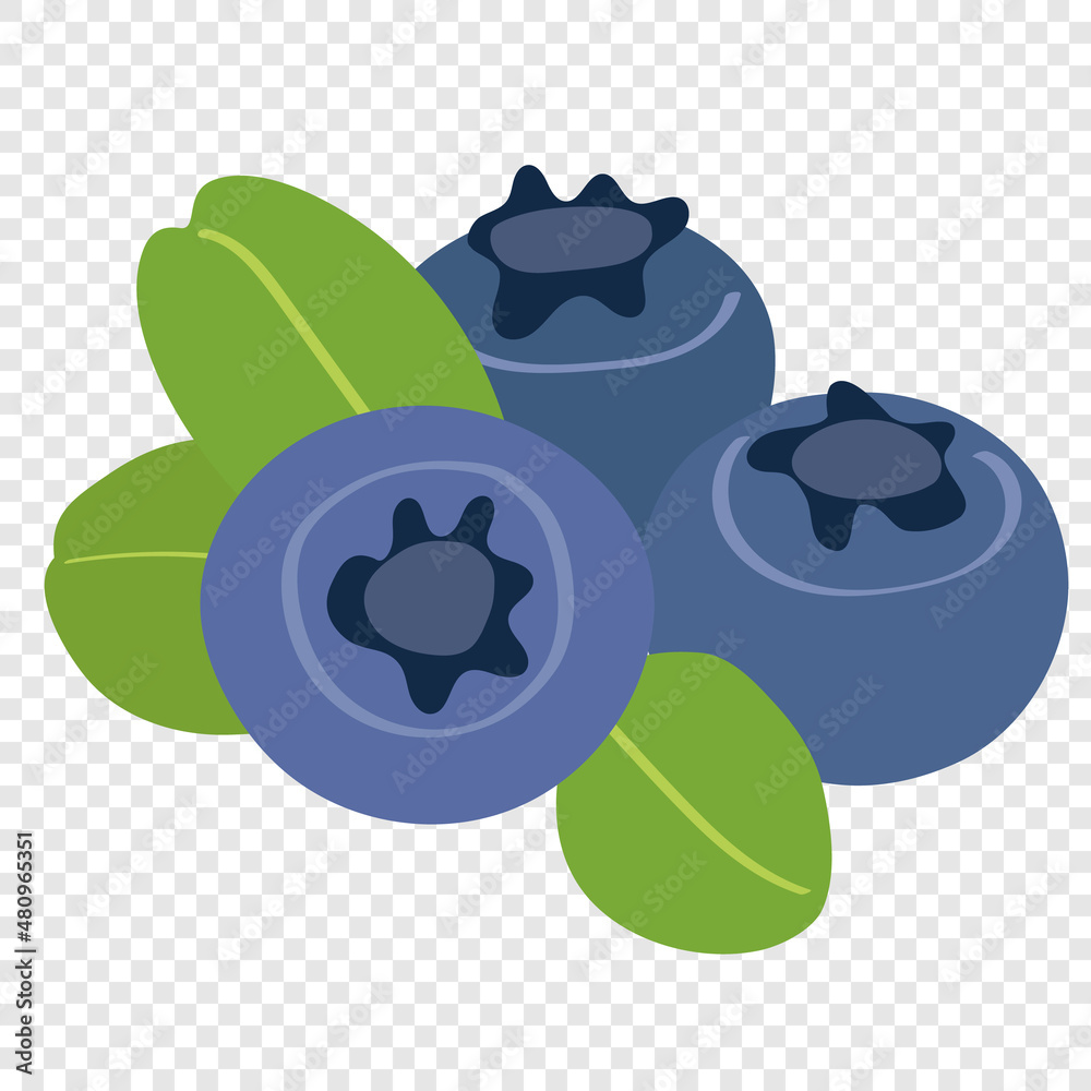 Blueberry is a blue sweet berry with vitamin C, flat cartoon vector ...