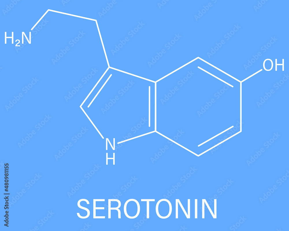 Serotonin neurotransmitter molecule. Skeletal formula. Chemical ...