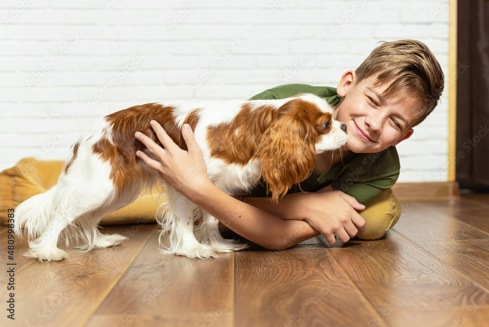 Kid with dog indoor. Teen boy is training her puppy at home. Happy boy ...