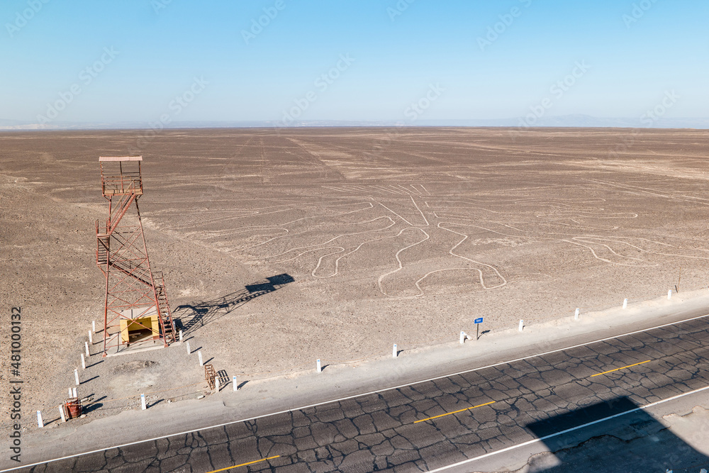 Nazca Lines - group of very large geoglyphs made in the soil of the ...