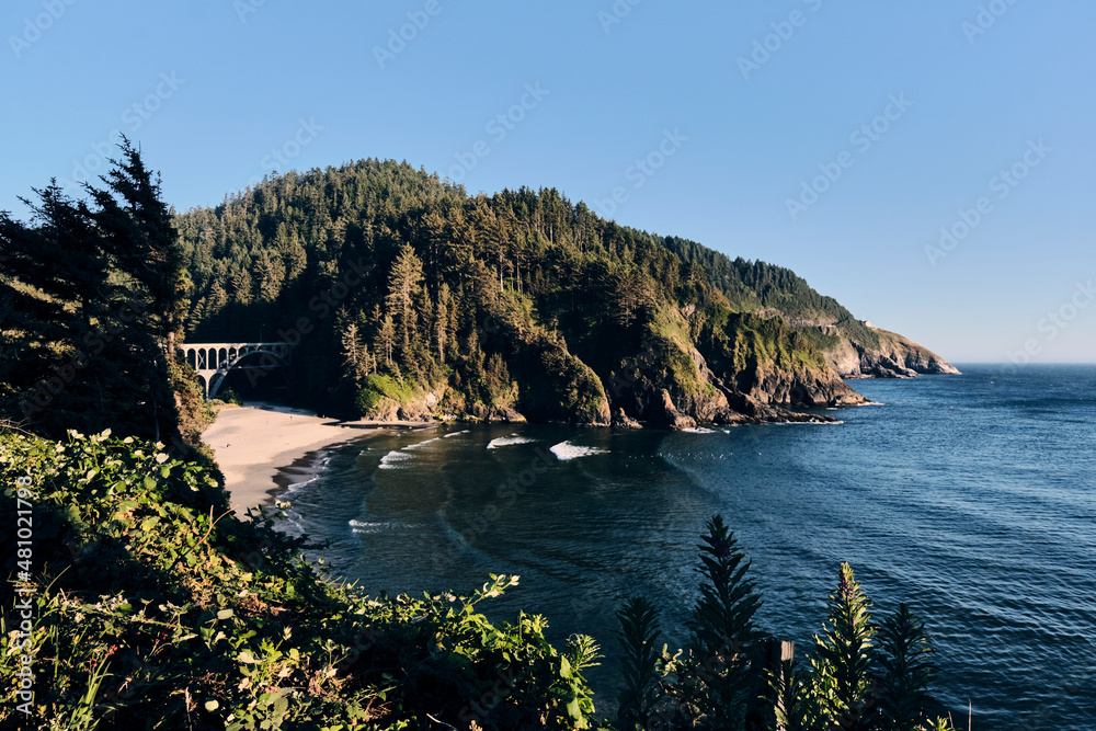 Looking back toward Heceta Head Beach from the lighthouse, Oregon Stock ...