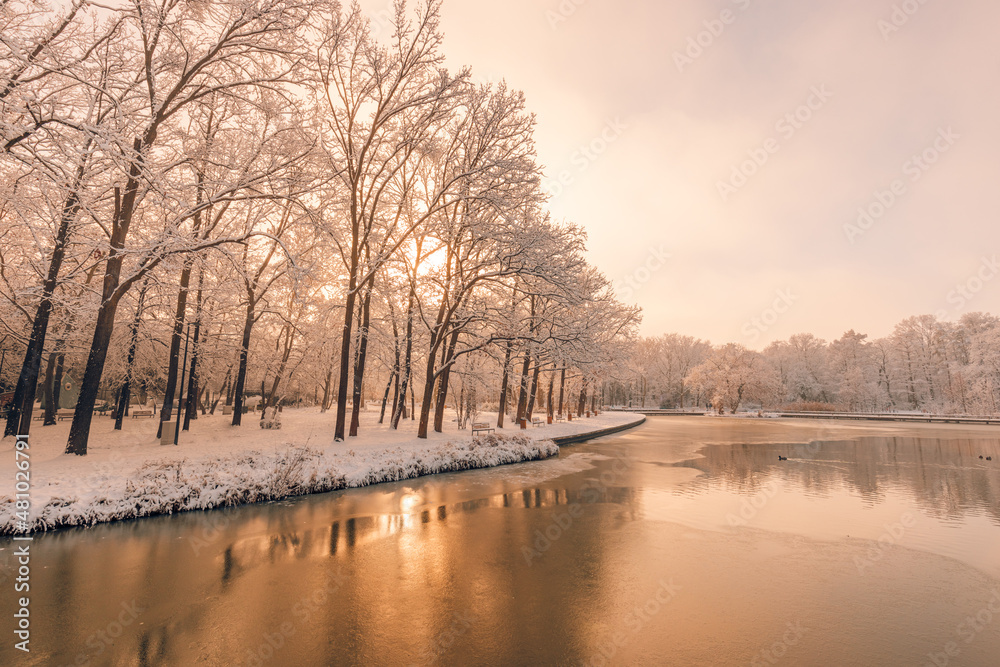 Dream winter forest on the river at sunset. Panoramic landscape with ...