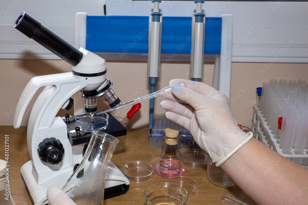 Medical laboratory during work. The patient's tissues are analyzed and ...