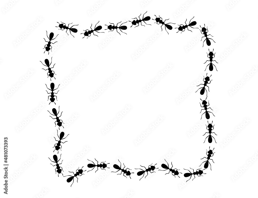 Black ants square border. Ants forming messy rectangular shape isolated in white background ...