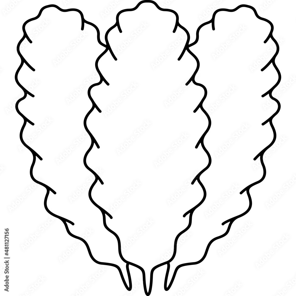 Edible red algae porphyra Stock Vector | Adobe Stock