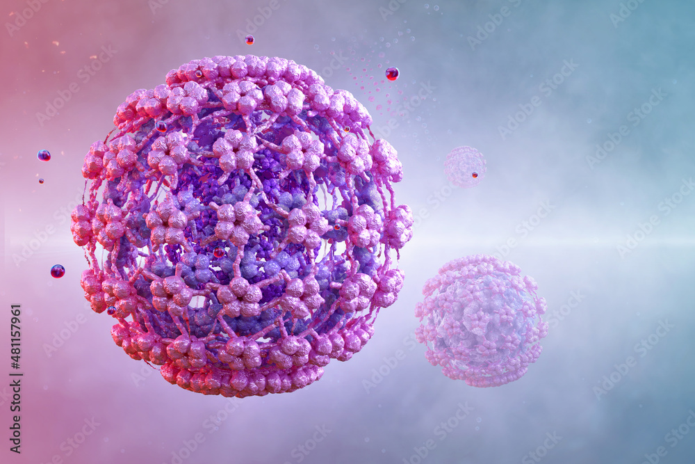 Human Papillomavirus Hpv Infection Structure Sexually Transmitted Dna