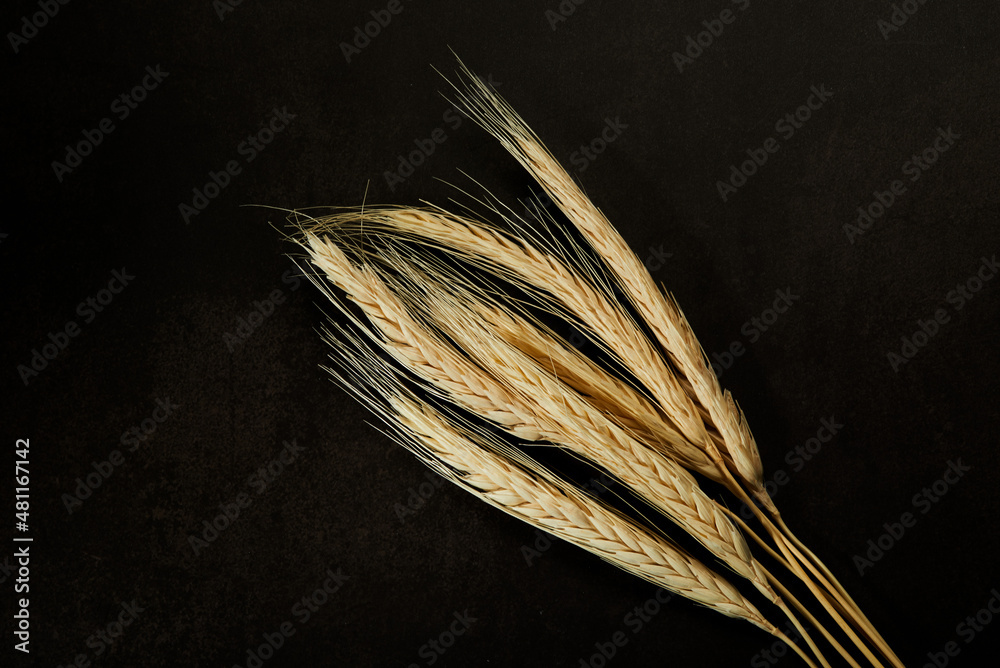 ramas de trigo Stock Photo | Adobe Stock