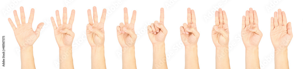 set the man's hand gestures point one to five fingers. isolated on ...