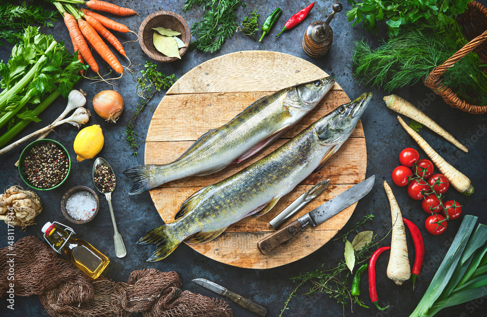 Fresh raw pike perche or zander and pike fish with ingredients prepared ...