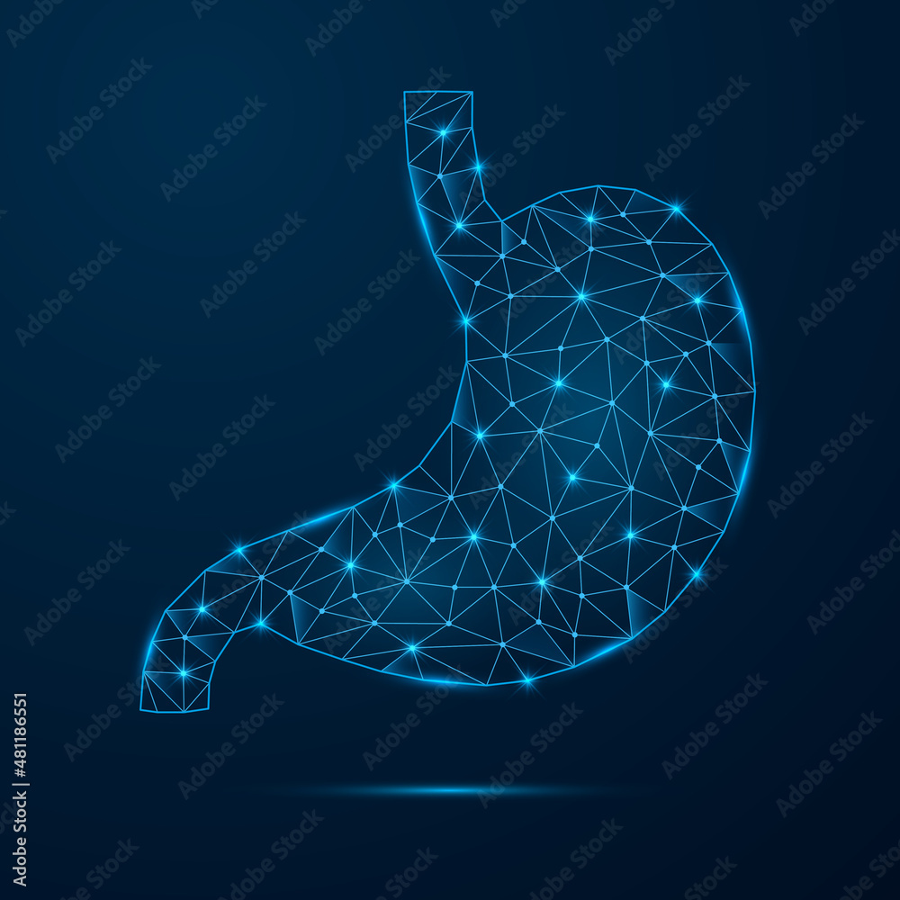 Human stomach with low poly glowing connected dots. Internal organ with ...
