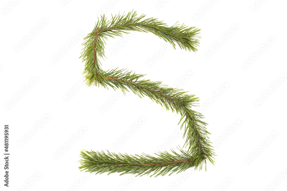 Numbers and letters of the alphabet made of coniferous branches Stock ...