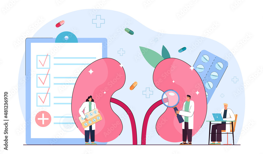 Doctors nephrologists examining patients kidney health. Medical care ...