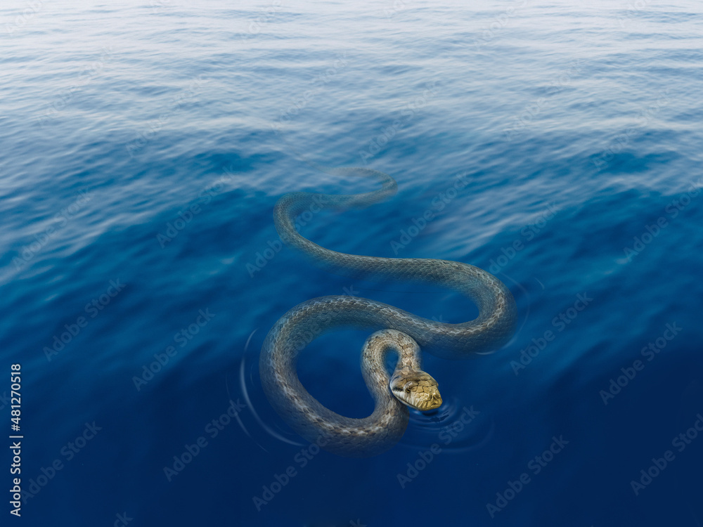 Olive Sea Snakes