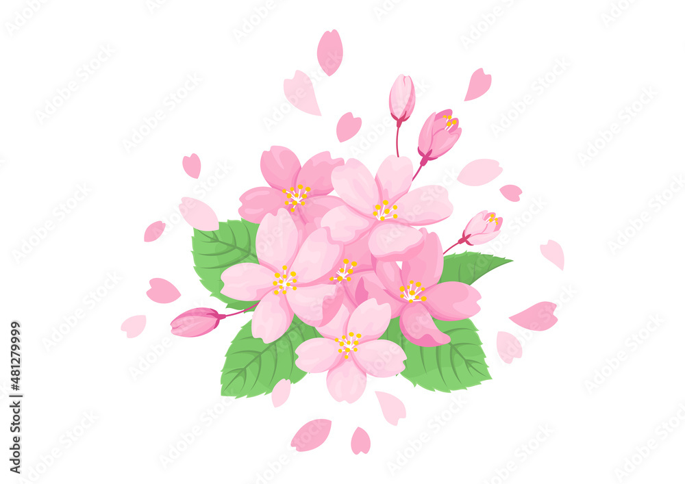 桜の花のイラスト 白背景に挿絵 春のデザイン用ベクターイラスト Stock Vector | Adobe Stock