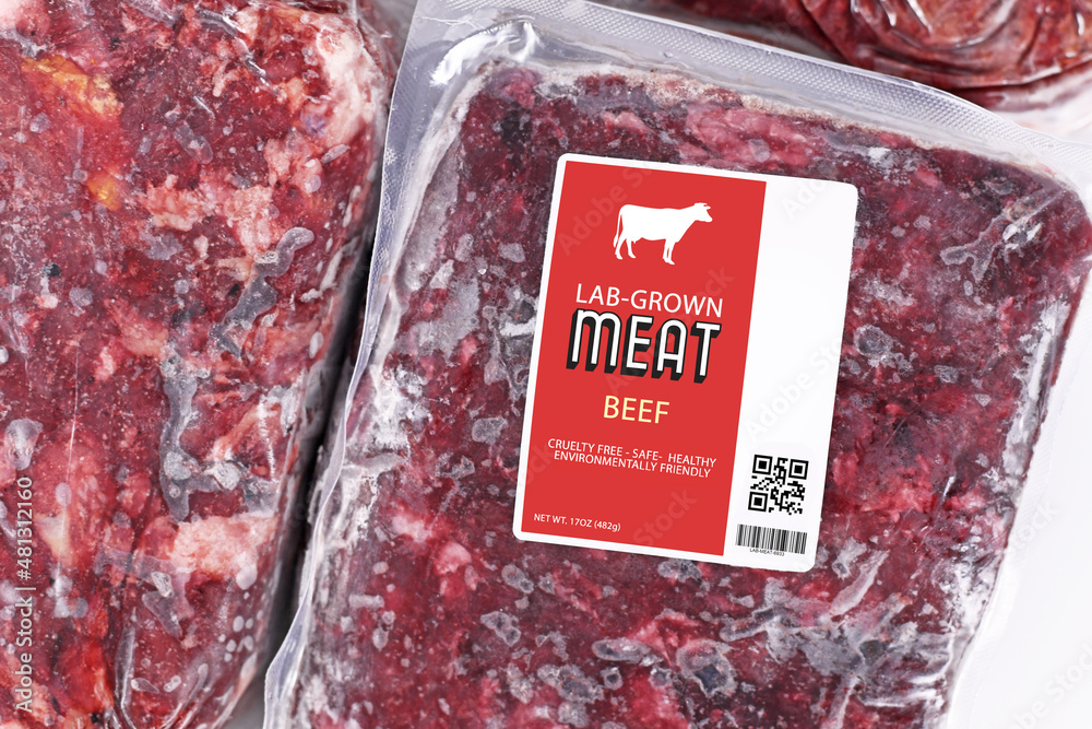 Lab grown cultured meat concept for artificial in vitro cell culture ...