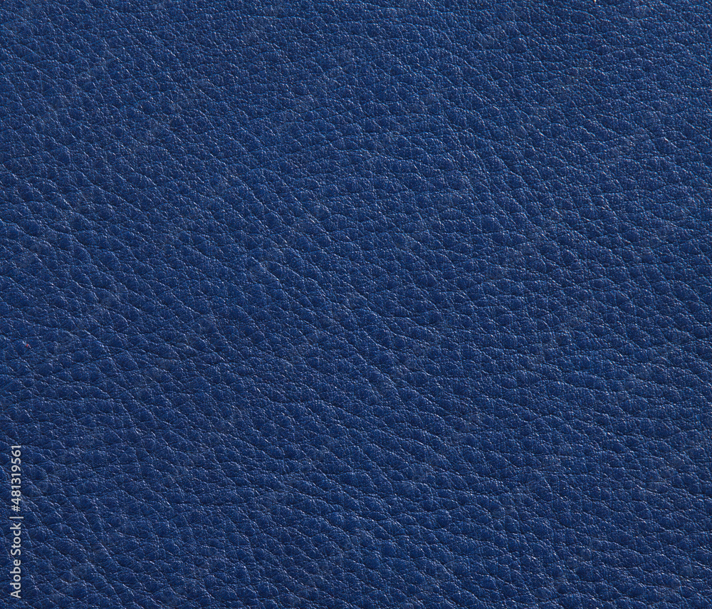 blue leather Stock Photo | Adobe Stock